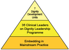 Everybody Matters: Sustaining Dignity in Care